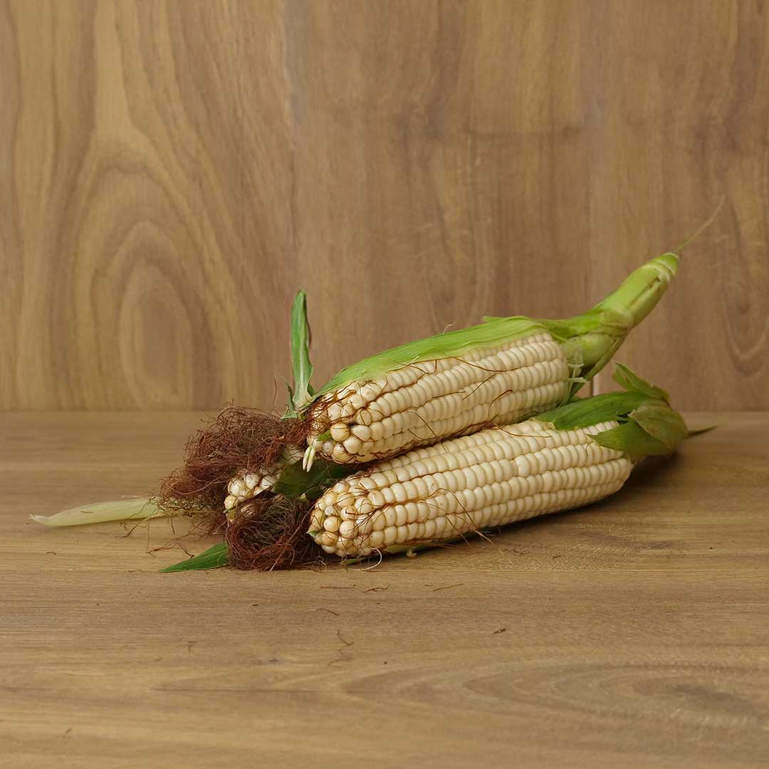 Frozen White Maize [Per Dozen] – mwanaka fresh farm foods